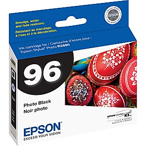 Epson UltraChrome K3 Inkjet Cartridge (Photo Black) (T096120)