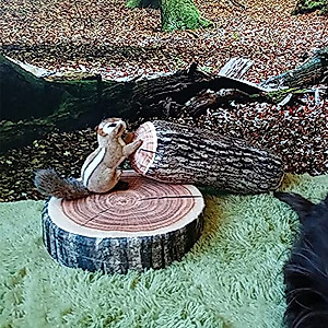 HYSEAS Decorative Round Throw Pillow, 3D Digital Print Comfortable Kids Funny Cute Wood Log Pillow Circle Seating Floor Cushion for Home, Couch, Sofa, Bedroom, Living Room Decor, Stump