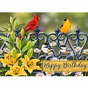 Crown Point Graphics Shared Blessings Birthday Birds 12 Boxed Birthday Cards, Beautiful Birds with KJV Scripture, Art by William Vanderdasson