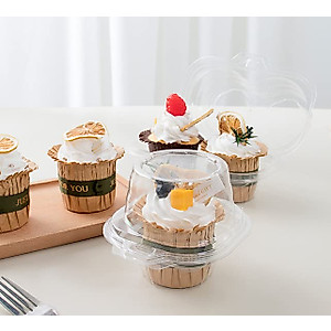 XIZHI 25Pcs Clear Cupcake Boxes with 2 Compartment,Plastic Stackable Cupcake Carrier Holder Box - BPA-Free,Durable,Keep Your Cupcakes or Muffins Delicious