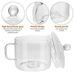 DOITOOL Glass Saucepan with Cover, Clear for Cooking on Stove, Glass Cooking Saucepan with Side Handle for Pasta Noodle, Soup, Milk, Tea (18x13x14.5cm)