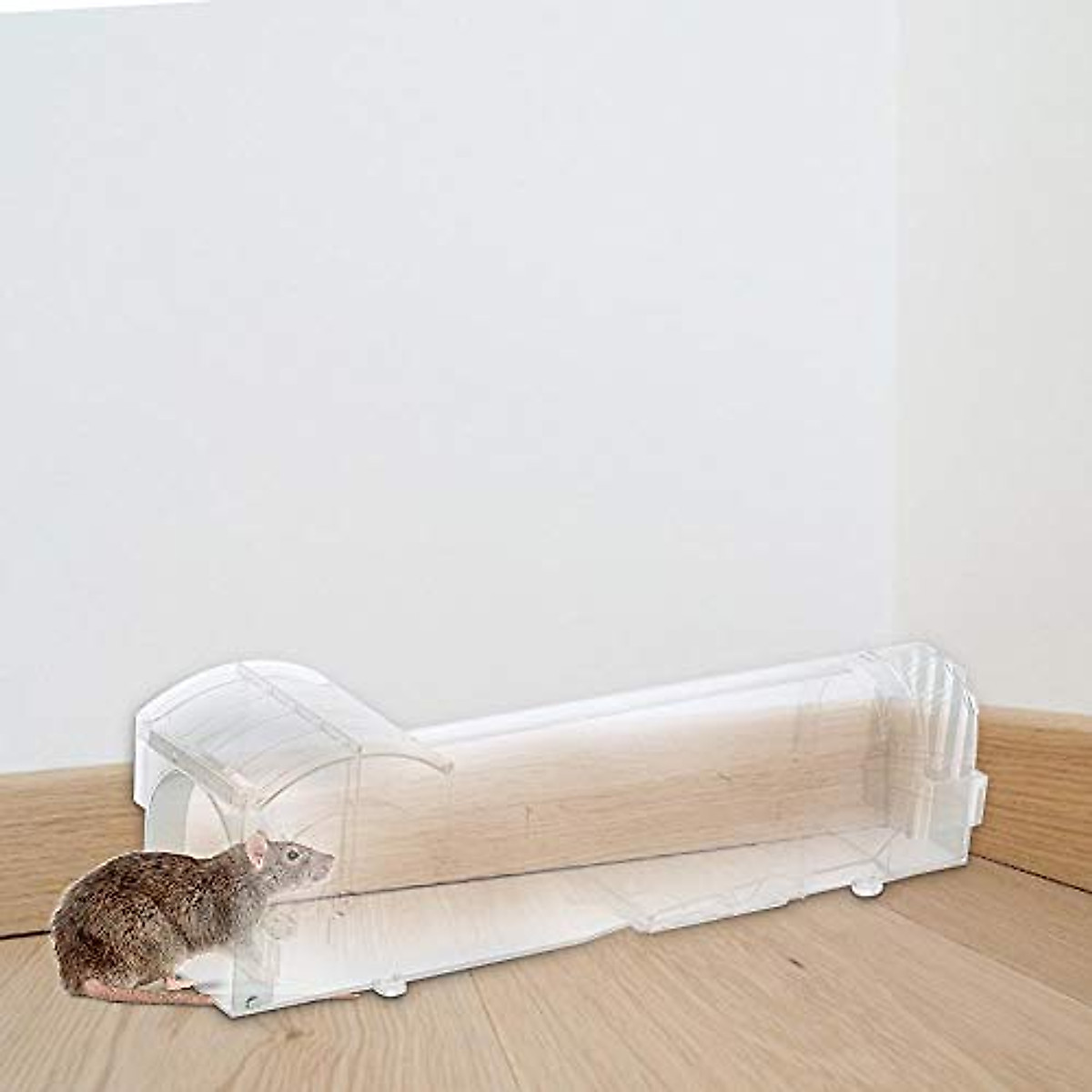 cigemay Rat Trap Cage, Automatic Wear-Resistant Humane Mouse Trap, Transparent Mouse Trap Cage, for Home Restaurant Hotel