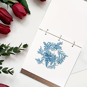 SEWACC Collection Book Decorative Pressing Flower Notebook Leaves Plant Specimen Pouch Dried Flower Storage Scrapbook Dried Flowers Specimen Holder DIY Press Flowers Book Storage Booklet