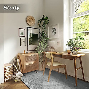 REDASW Soft Shaggy Rugs，4x6 Feet Area Rug，Anti-Skid Fluffy Carpets for Bedroom Living Room, Fuzzy for Kids Baby,Nursery, Dorm Shag Rugs for Girls Boys,Teen's Room,Grey