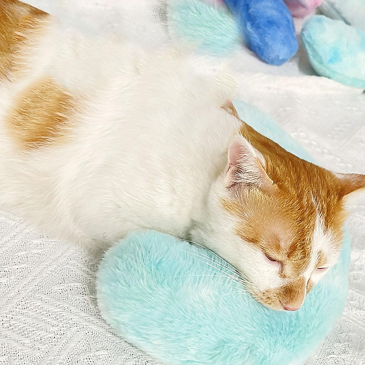 IMDOUBLEDOU Cat Pillow for Indoor Cats, Dog Pillows, Cutated Dog Calming Pillow, Ultra Soft Fluffy Cat Calming Pillow, Half Donut Cuddler (SkyBlue)