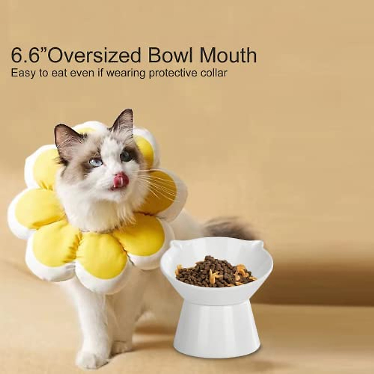 Detachable Elevated Cat Bowls, 15° Tilted Raised Cat Food Bowl Anti-Vomiting,Whisker Friendly, Adjustable Cat Dishes for Protecting Spine,Adult Kitten