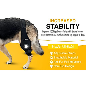RadHaven Dog Knee Brace for Torn ACL Hind Leg, Cruciate Ligament Injuries, Patella Dislocation, Double Straps and Comfortable Dog Leg Braces for Back Leg Support (Right- Large)