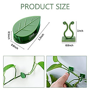 LUCKJUJU 100 Pcs Plant Climbing Wall Fixture Clips Self-Adhesive Hook Vines Traction Clips Invisible Holder Garden Green Leaf Simulation Self-Adhesive Hook Wire Fixing Supporting
