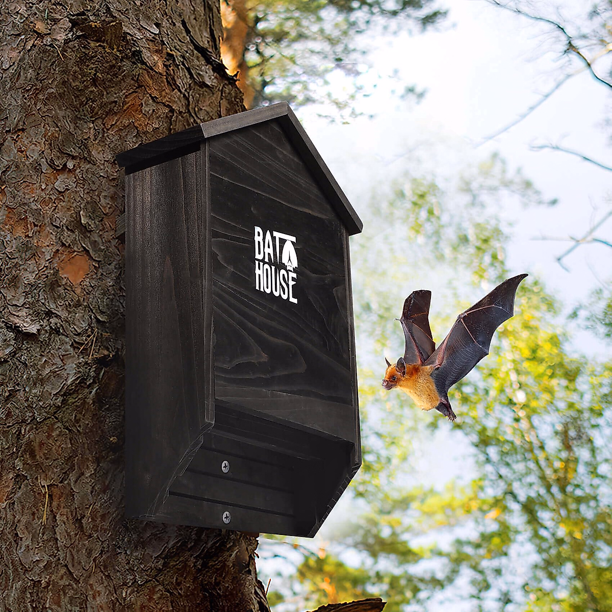 Bat Houses for Outdoors - 15" Big Bat Box 2 Chamber Cedar Wood Bat ...