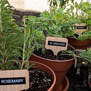 Brother P-Touch Pro Monochrome Label Maker (PT-H111)