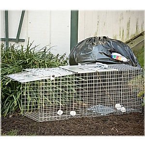 Havahart 1085 Large 1-Door Easy Set & Release Humane Live Animal Trap for Armadillos, Cats, Groundhogs, Muskrats, Nutria, Opossums, Racoons, Skunks, and Other Similar-Sized Animals