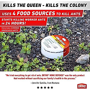 Ant Traps Indoor by ORTHO Home Defense 10pk- Metallic & Adhesive Ant Killer Indoor & Ant Killer Outdoor - Ant Trap & Ant Bait Traps Indoor Ant Killer - Ant Traps Outdoor,Ant Bait Outdoor
