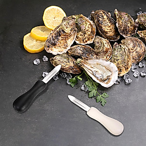 Fasmov 10 Pack Oyster Shucking Knife, Stainless Steel Oyster Knife Oyster Shucker Clam Knife, Oyster Knives Suitable for All Kinds of Shells and Oysters Shucking(White+ Black)