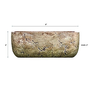 Classic Home and Garden 240001P-432 Dakota Trough, Earth Moss, Large