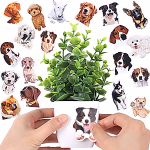 Mini Artificial Plants Fake Potted Plants, 10 pcs Small Eucalyptus Potted Faux Decorative Grass Plant with Black Pot for Home Decor, Indoor, Office, Desk, Table Decoration