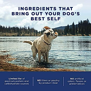 Natural Balance Limited Ingredient Diet Duck & Potato | Puppy Formula Grain-Free Dry Dog Food | 24-lb. Bag