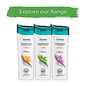 Himalaya Gentle Daily Care Protein Shampoo for Soft, Shiny, Healthy-Looking Hair, 13.53 oz, 2 Pack