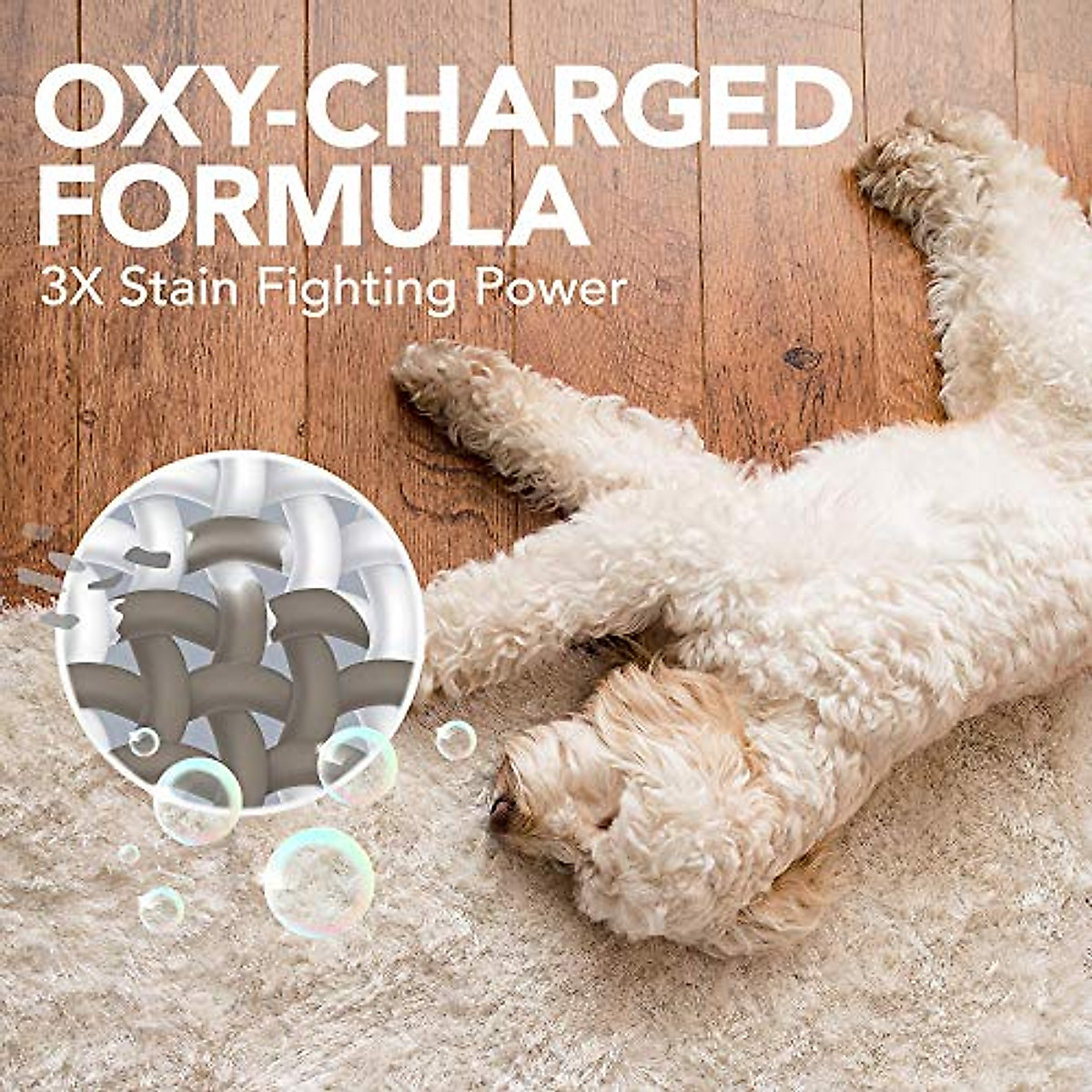 Simple Solution Oxy Charged Pet Stain and Odor Remover | Eliminates Pet Stains and Odors with 3X Cleaning Power | 1 Gallon