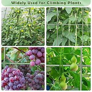 Tetutor Cucumber Trellis for Raised Bed 65"×48", Garden Arch Trellis for Climbing Plants Outdoor, Metal Garden Trellis for Vegetables, Cucumber Trellis for Tomato, Bean, Pea, Grape, Plant, Squash