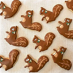 KAISHANE 5PCS Animal Cookie Cutter Set - Fox Owl Raccoon Squirrel Forest Woodland Animal Cookie Cutters Molds for Kids
