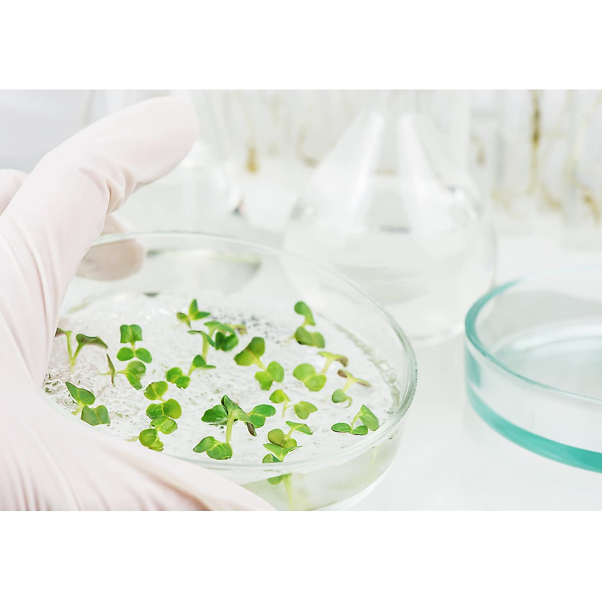 20 Pack Plastic Petri Dishes with Lids, 90 x 15mm Bioresearch Sterile Petri Dish, Culture Dishes for School Science Projects, Seeding, Storage, Biological Themed Party