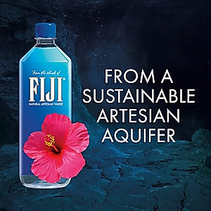 FIJI Natural Artesian Bottled Water 1 Liter / 33.8 Fl Ounce (Pack of 12)