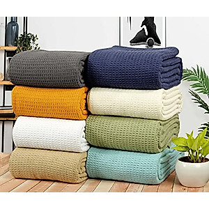 Tex Trend Luxury 100% Cotton Blanket - Soft Blanket for Bed, Sofa & Couch - Breathable Blanket for Summer - All Season Cotton Thermal Blanket (Ivory, Twin XL)