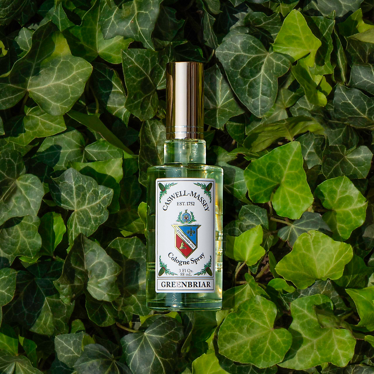 Caswell-Massey Greenbriar Gold Cap Cologne, Men’s Cologne with Classic and Zesty Scent with Citrus, Sage & Rugged Velvety Notes, 3 Fl Oz