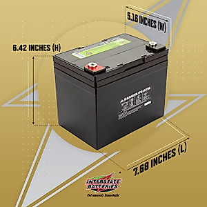 Interstate Batteries 12V 35AH Sealed Lead Acid (SLA) AGM Deep Cycle Battery (DCM0035) Insert Terminals