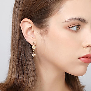 Frwiskp Womens Gold Drop Dangle Earrings, 18K Gold Plated 925 Sterling Silver posts Premium Trendy Cubic Zirconia Dangle Earring, Floral Drop Earring, Hypoallergenic Jewelry, Gifts for Womens Girls