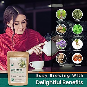 Herbaly Wellness Collection Organic Herbal Ginger Tea, 70 g, 28 Count Bag (Pack of 1)