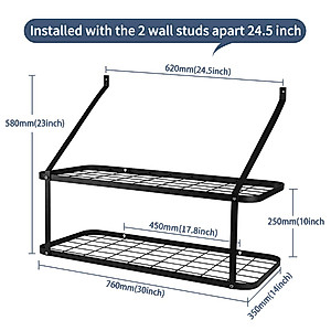 ROTTOGOON Wall Mounted Pots and Pans Rack, 2 Tier Pot and Pan Organizer 30 Inch Wall Pot Rack with 12 Hooks Kitchen Rack Organizer
