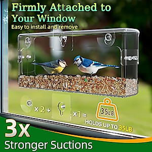 Ermete Window Bird Feeder With Strong Suction Cups, Large View Clear Feeder, Seed Tray, 13in x 5.5in x 4.2in for Outside