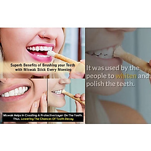 Billion Deals Natural Traditional Miswak (sewak) Peelu Chewing Stick Toothbrush for Whiter Teeth -15pc