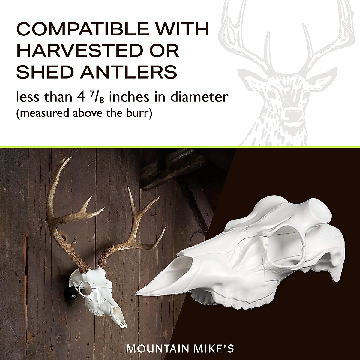 Mountain Mike’s Skull Master - European-Style Mount Kit for Antlers - for Antlers Larger Than 4 ⅞” Diameter - Compatible with Harvested and Shed Antlers - White (Large)…