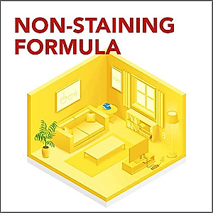 Raid Flea Killer Carpet and Room Spray 16 Ounce (Pack of 4)