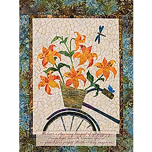 Seasonal Silhouettes: 12 Inspirational Quilt Blocks Featuring Raw Edge Applique (Landauer) Gorgeous Designs & Full-Size Patterns for Every Month of the Year, from Edyta Sitar of Laundry Basket Quilts