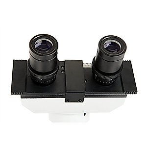 Celestron – Celestron Labs – Binocular Head Compound Microscope – 40-2000x Magnification – Adjustable Mechanical Stage – Includes 2 Eyepieces and 10 Prepared Slides