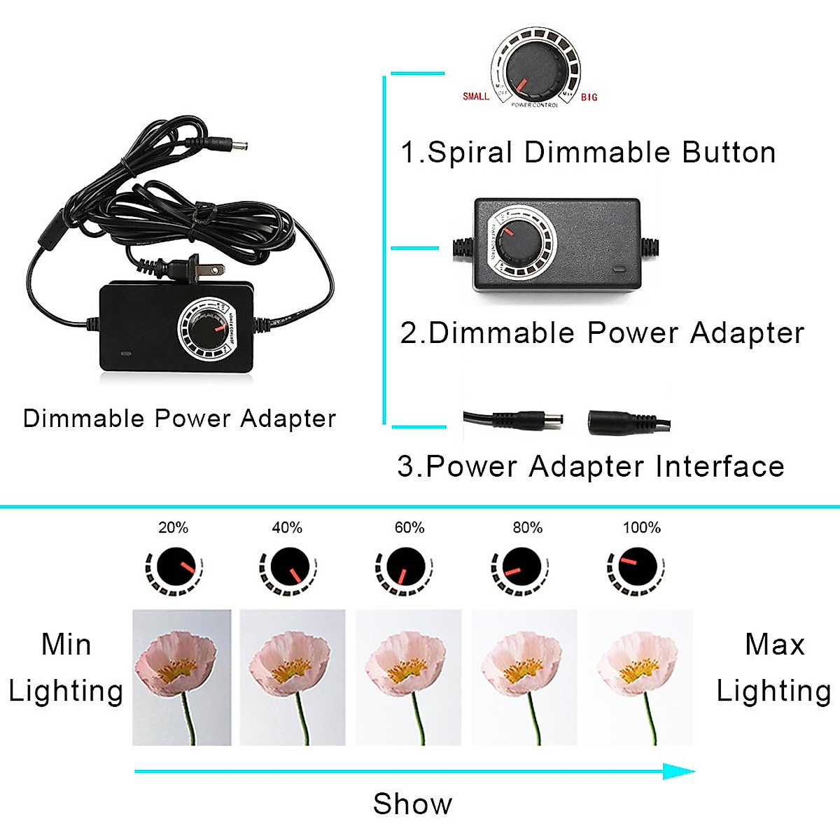 Light Box Photography LED Photo Studio Large Lightbox Professional 47x39x78 inch Dimmable Video Continuous Lighting Cube Shooting Tent Kit for Product Photography with Blue/White/Black PVC Backgrounds