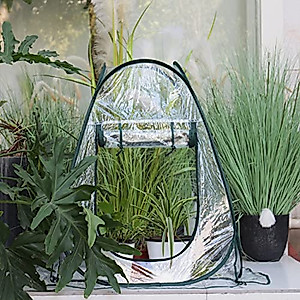 Gardzen 27"x27"x31" Pop up Grow Greenhouse Small Greenhouse, Portable Plant Flowers Mini Green House Cover for Outdoor & Indoor Use