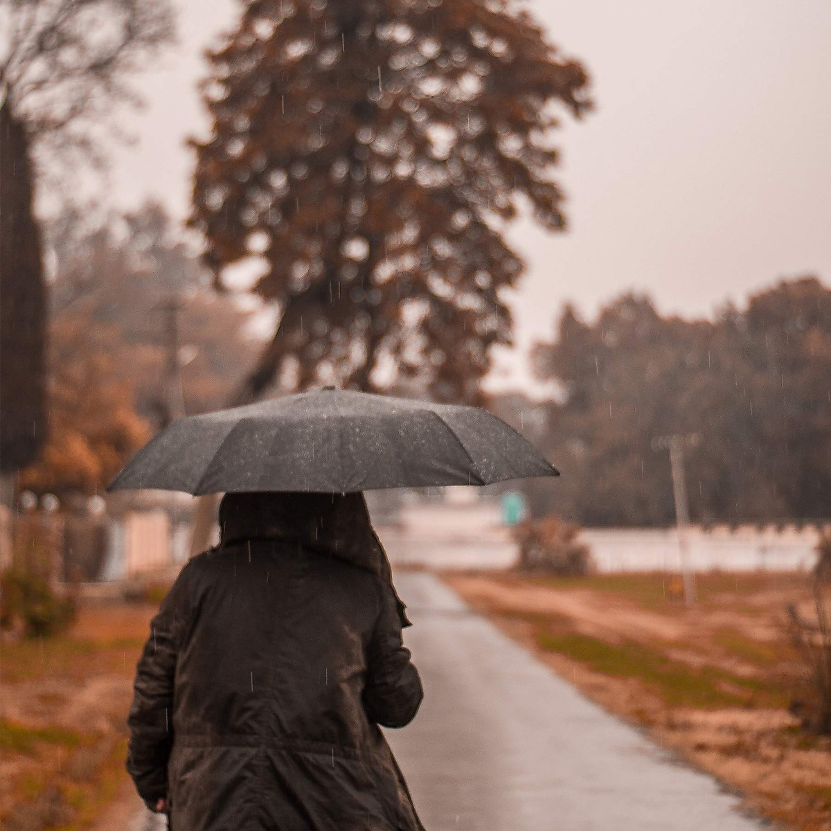 PFFY 2 Packs Travel Umbrella Windproof Auto Open & Close Collapsible Folding Small Compact 10 RIBS Backpack Car travel Essentials Purse Umbrellas for Rain Black+Blue