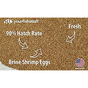 Brine Shrimp Eggs 50 Gramm (Artemia Cysts) of 90% Hatch Rate Fish Food
