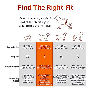 Amazon Basics Male Dog Wrap, Disposable Diapers, Small, Pack of 30, White