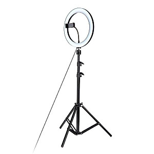 Fealay 26cm Studio Live Led Ring Light With Phone Holder 120cm Ring Light Kit Foldable Tripod Kit Adjustable 360 Rotation for Phone Selfie Light Beauty Photograph