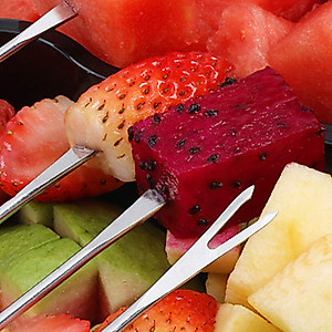 OSALADI Stainless Steel Fondue Forks Cheese Fondue Fork Stainless Steel Fruit Forks Fondue Forks Set Bbq Forks Roasting Sticks For Hot Pot Barbecue (Handle Random Color)