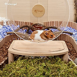 Niteangel Anti-Slide Hamster Wheel Platform - Fits for Niteangel Super-Silent Hamster Wheel | Acrylic Wheel | Wooden Wheel | Cloud Series Hamster Wheel (Medium)