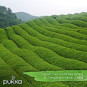 Pukka Supreme Matcha Green, Organic Herbal Green Tea with Oothu, Sencha & Suio Gang, 20 Count (Pack of 3)