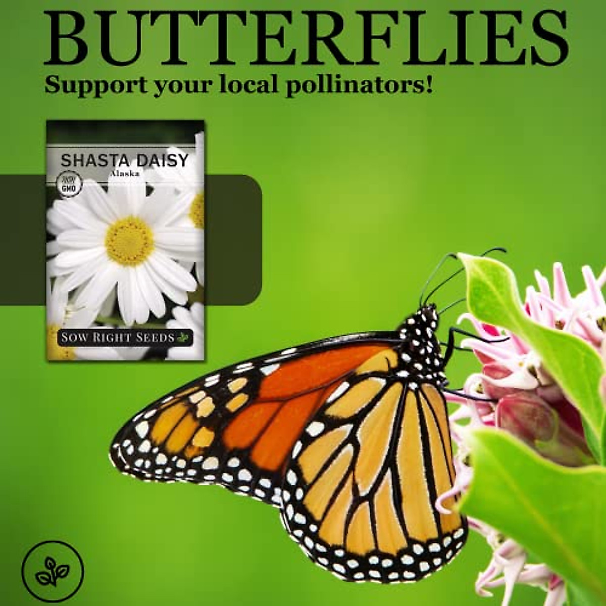 Sow Right Seeds - Shasta Daisy Flower Seeds for Planting, Beautiful Flowers to Plant in Your Garden; Non-GMO Heirloom Seeds; Wonderful Gardening Gifts (4)