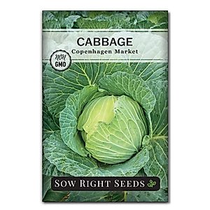 Sow Right Seeds - Copenhagen Market Cabbage Seed for Planting - Non-GMO Heirloom Packet with Instructions to Plant and Grow an Outdoor Home Vegetable Garden - Early Variety - Wonderful Gardening Gift