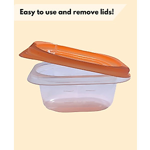 Room 2 Room 42-Piece Food Storage Container Set For Food Storage, Dishwasher Safe, Airtight, BEST VALUE (Orange)